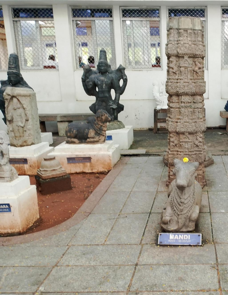 Puducherry Museum | Top Places In Pondicherry